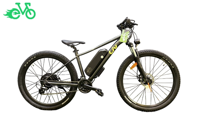 قیمت و خرید دوچرخه برقی مدل بتا پلاس سری جاینت- ایویتک