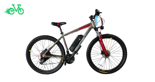 قیمت و خرید دوچرخه برقی مدل بلست گاما