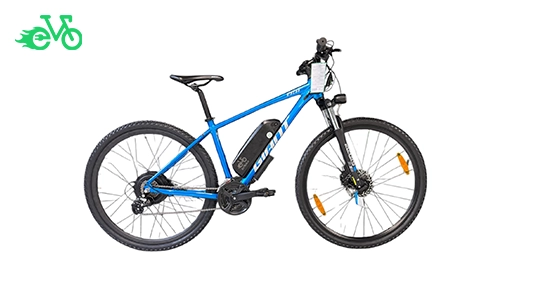 دوچرخه برقی رینکون ایویتک